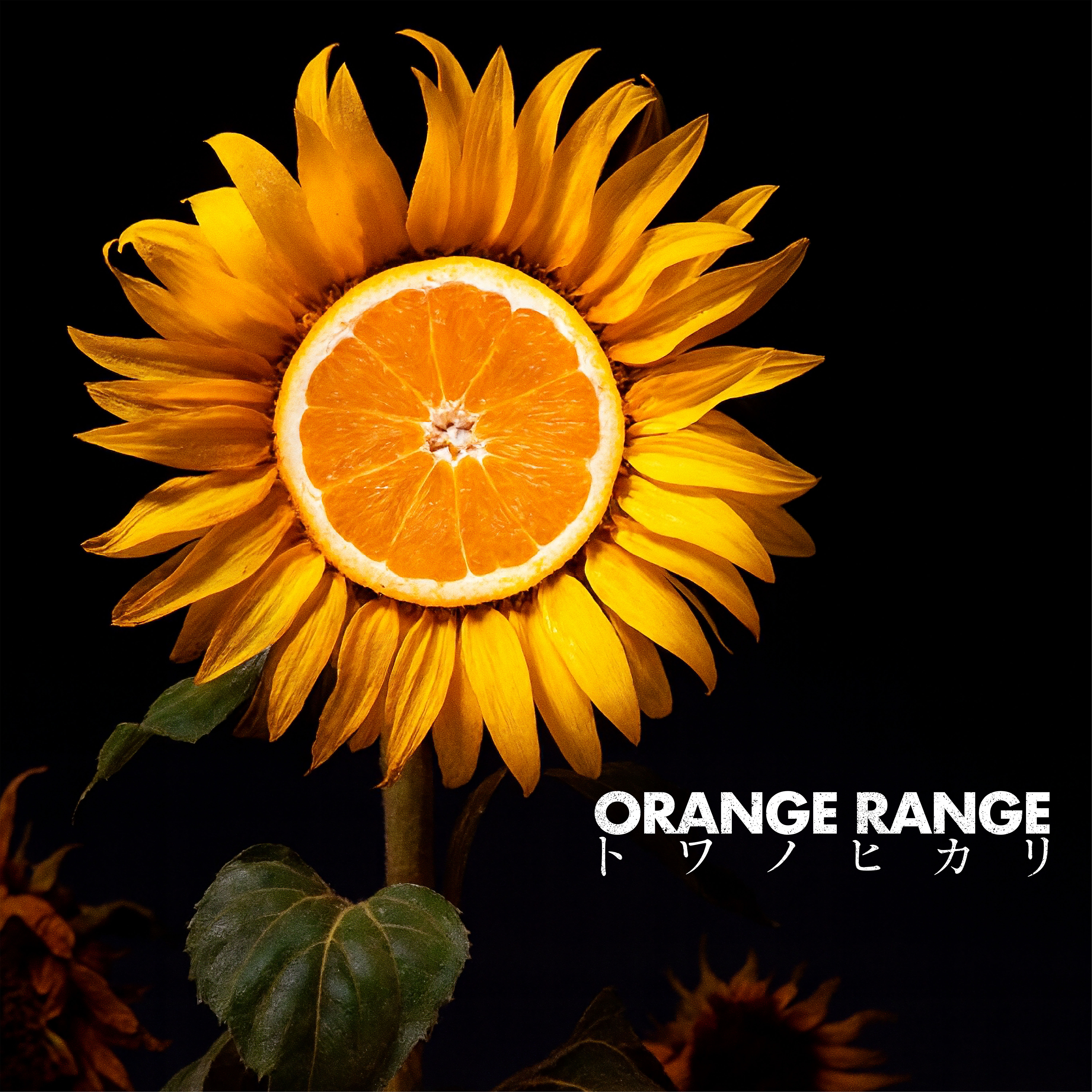 トワノヒカリ【完全生産限定盤(CD+Blu-ray)】｜ORANGE RANGE OFFICIAL FANCLUB RANGE AID+